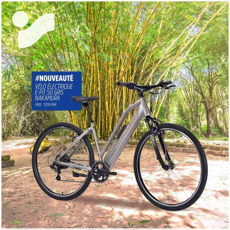 Notre Avis Sur Les Vélos électriques Nakamura